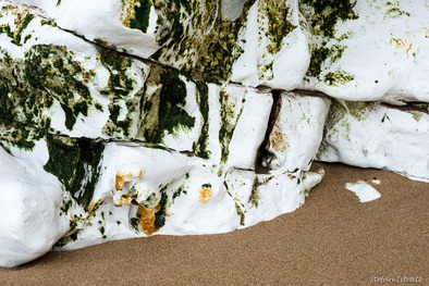 Coastal Britain | Nature Photography by Ștefan Istrate